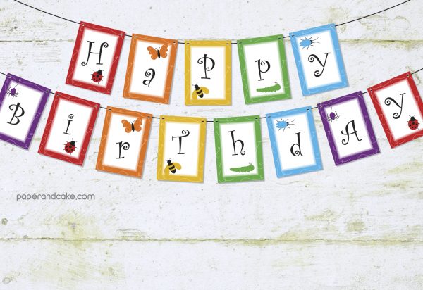 Rainbow of Bugs Happy Birthday Pennant Banner - Paper and Cake